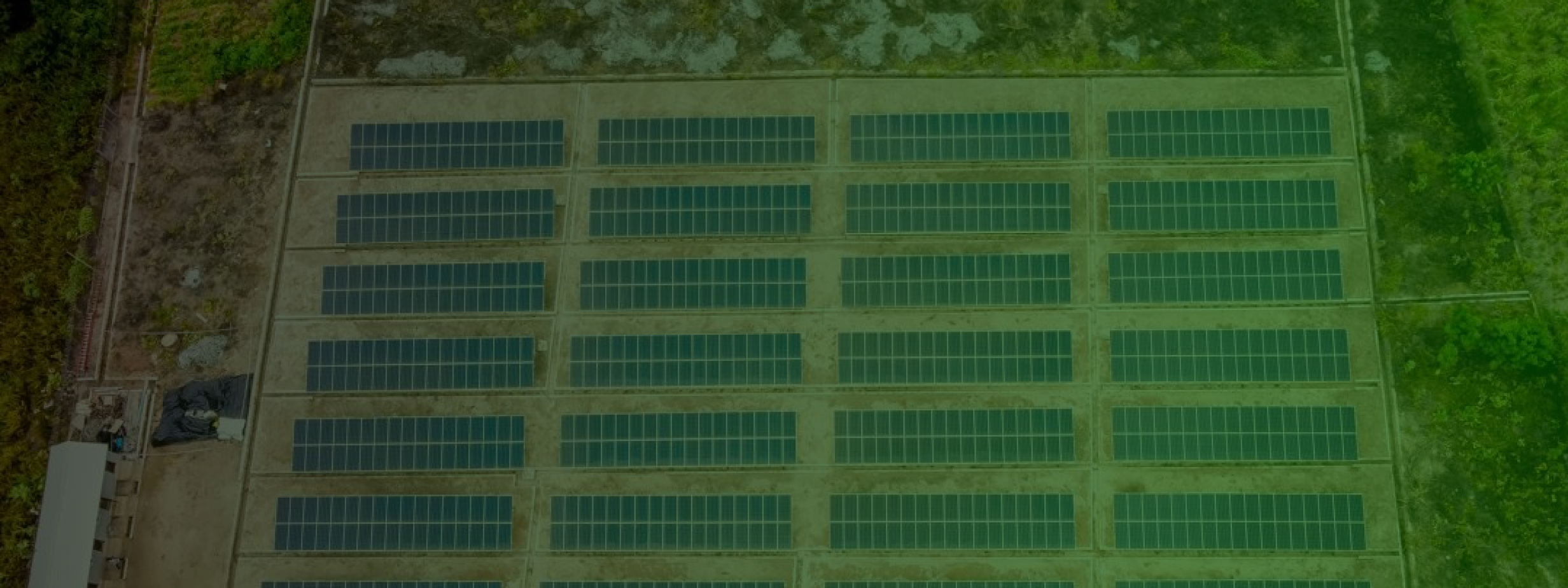 Index of /assets/images/dares